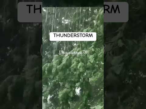 🏡🌱everything🏡A lady watching non stop raining thunderstorm, today’s afternoon.