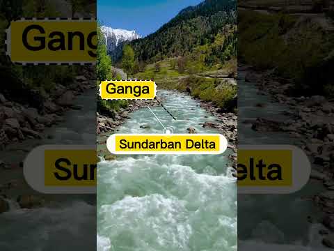 which river forms sundarban ?