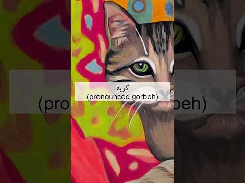 How do you say 'Cat' in Farsi? ๐ฎ๐ท| Learn Farsi Fast