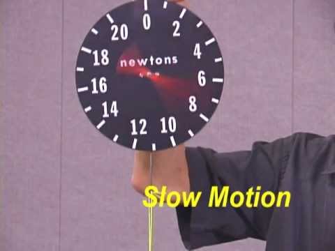 Spring Scale: What Does a Spring Scale Measure? Part 1