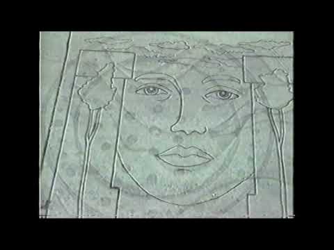Pamela Scesniak's Pictographs of Brady Street