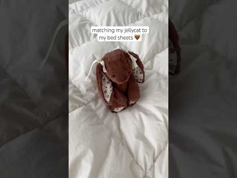 jellycat fudge bashful bunny ๐งธ