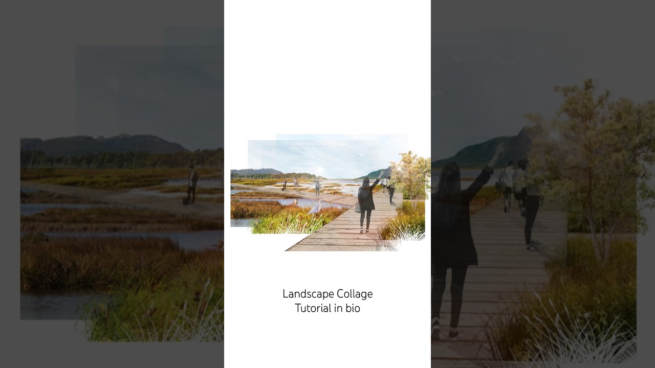 Landscape collage #landscapearchitecture #collage #landscapedesign