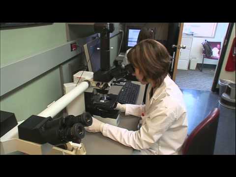 Future of MS: Multiple Sclerosis