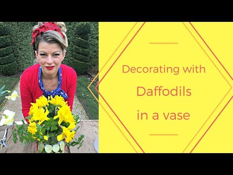Decorating with Daffodils // Cut Flowers // Spring Bulbs // The Gardenettes
