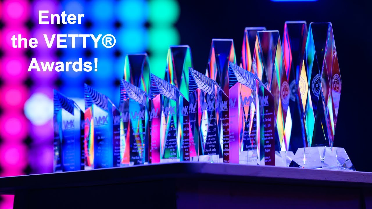 Enter the VETTY Awards®