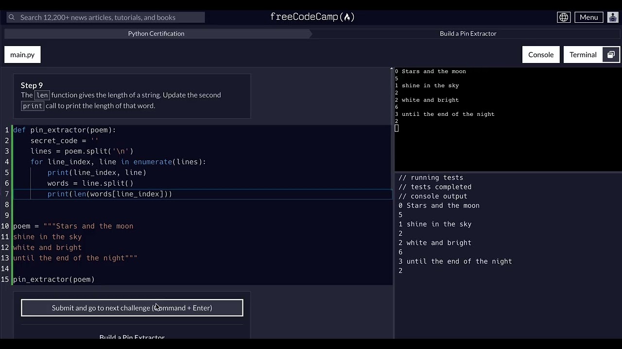 FreeCodeCamp - Python Project - Step 9 of 19 - Pin Extractor