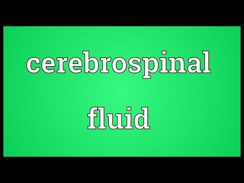 Cerebrospinal fluid Meaning
