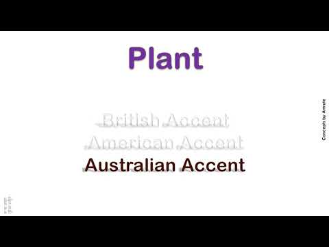 Plant How to Pronounce Plant in Australian Accent, British Accent, American Accent ?