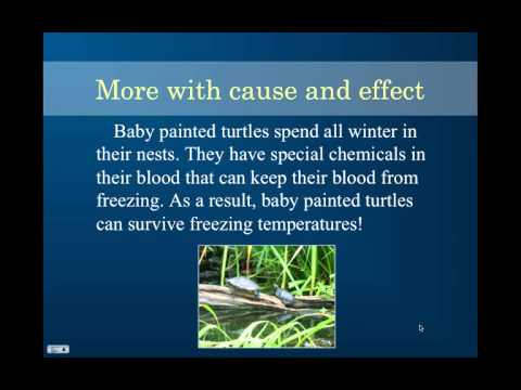 Cause and Effect Text Structure