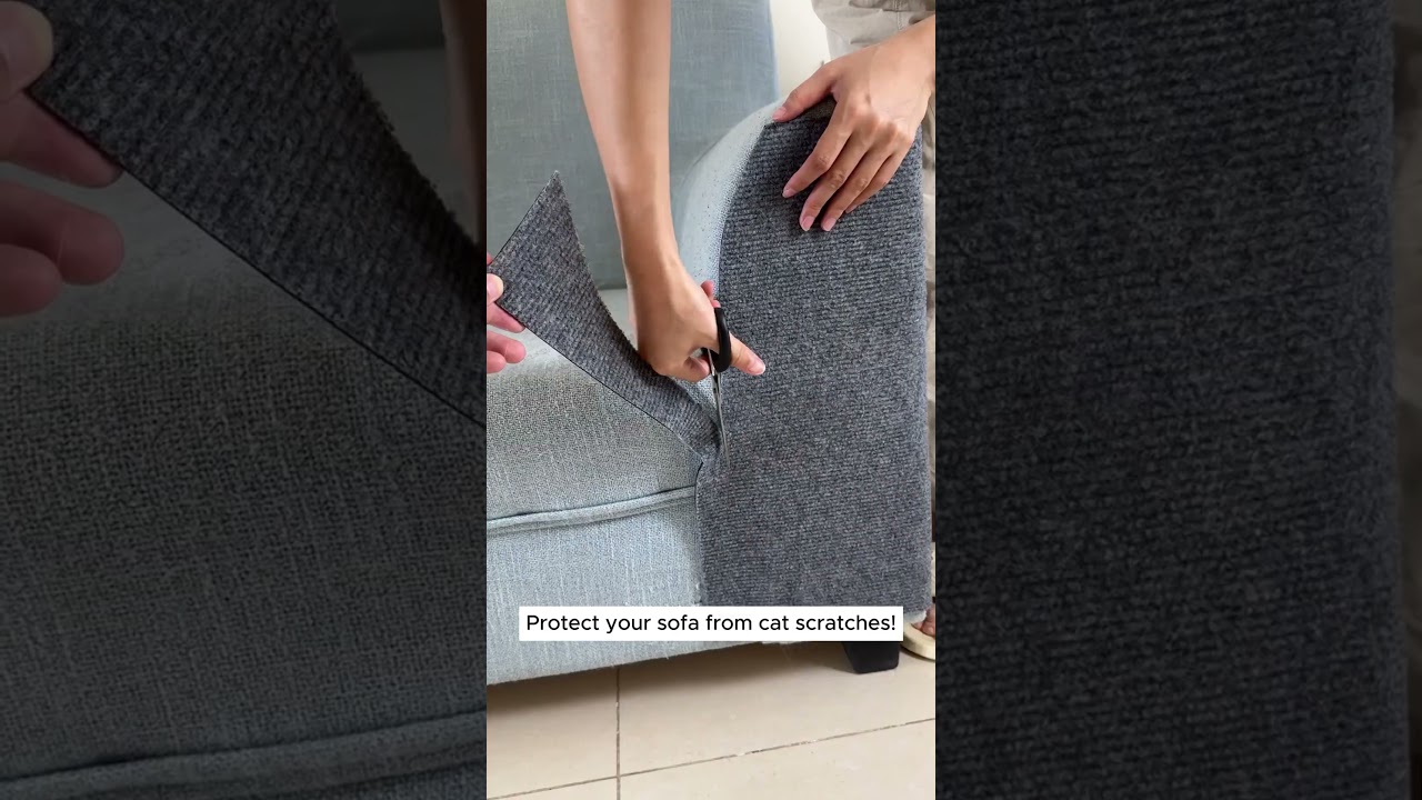 Save Your Sofa: The Best Cat Scratch Protector!  #couch #cat