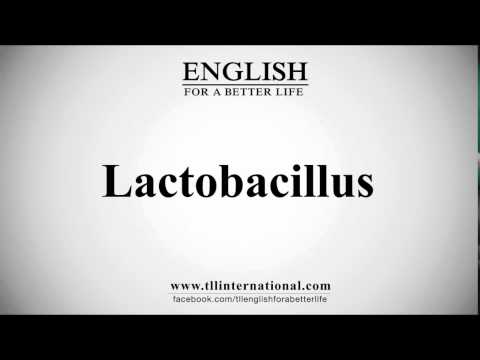 How to Pronounce Lactobacillus