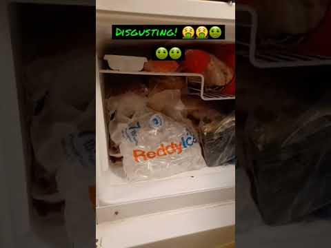 Reddy Ice from Winco....🤢 So Disgusting!!! 🤮 #disgusting #reddyice #themoorehomestead