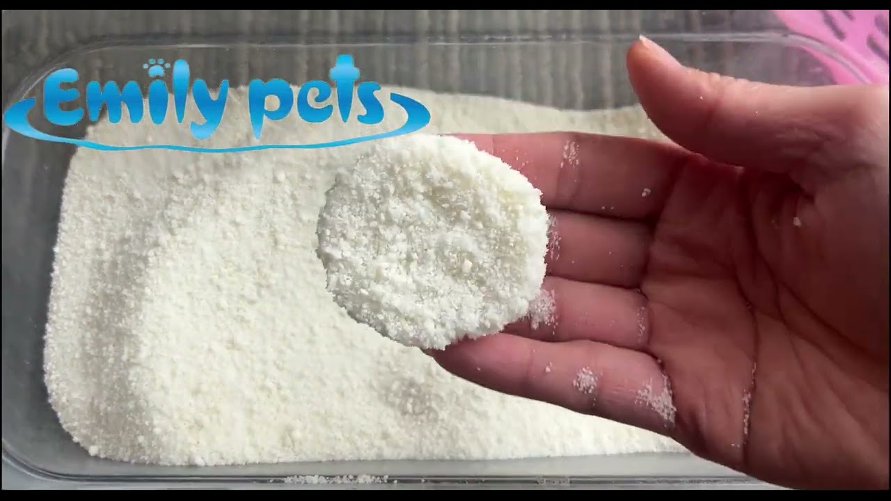 🐱 Cassava Cat Litter Test: Is It Worth the Hype? 🐱