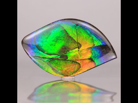 Freeform Ammolite 28.29 Carats