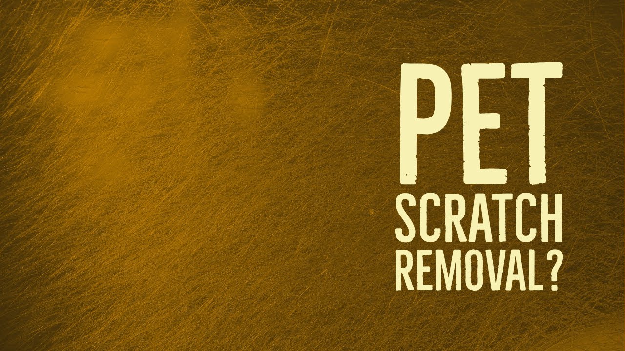 Can dog scratches be removed from glass? Is DIY scratch removal a good idea? #GlassSavers
