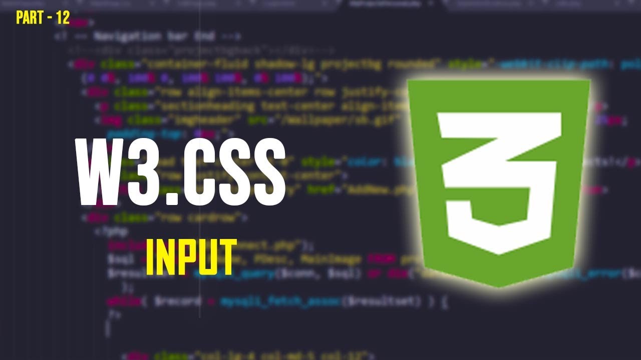 W3.CSS Beginners Tutorial – W3.CSS – INPUT.