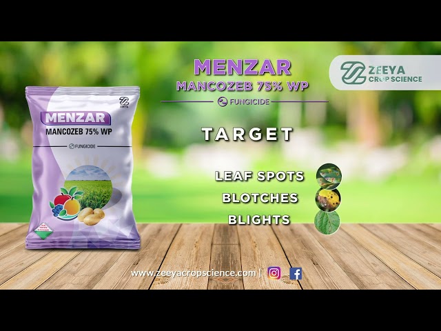 Agriculture Fungicide - MENZAR(Mancozeb 75% WP Fungicides) Trader ...