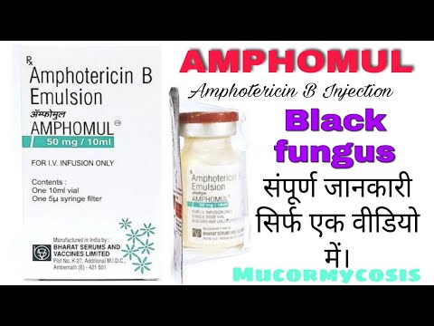 Amphotericin B Injection - Liposomal Amphotericin B Injection Latest ...