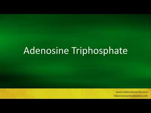 Pronunciation of the word(s) "Adenosine Triphosphate".