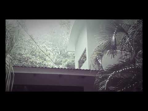 Buen día de lluvia