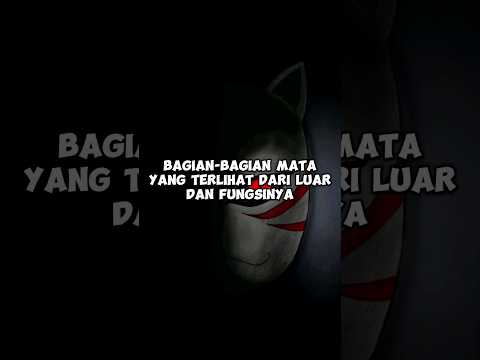 Bagian-bagian Mata yang Terlihat dari Luar dan Fungsinya #ipas #kelas5 #mata #cahaya