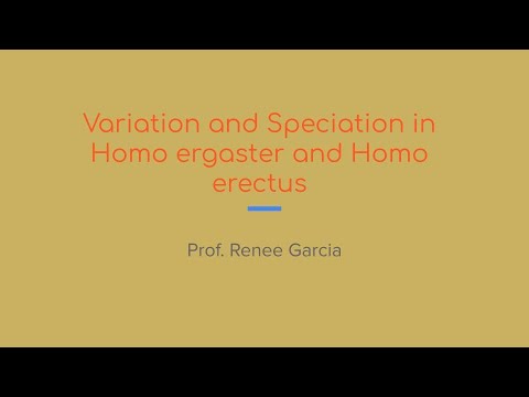 Variation and Speciation in Homo ergaster and Homo erectus