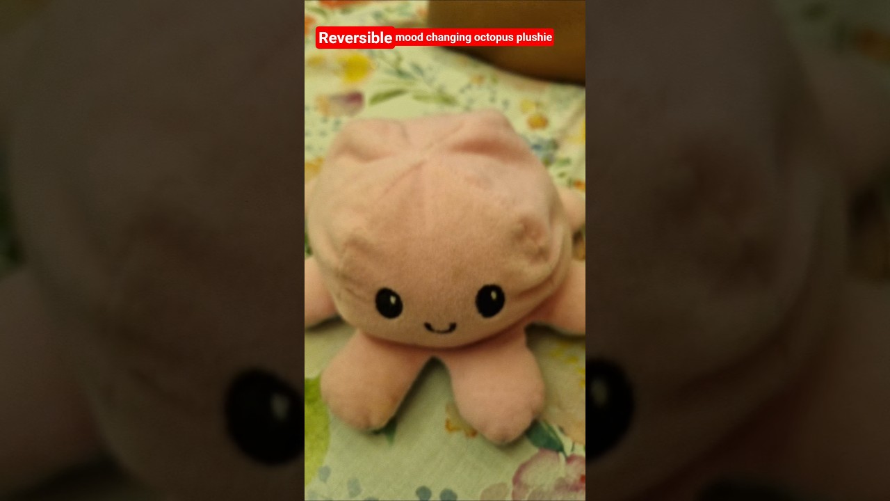 #giveaway #octopus #plushie #moodchanging #reversible