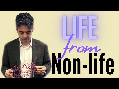 Life from Non Life - How Evolution Powers Everything ~ Professor LEE CRONIN