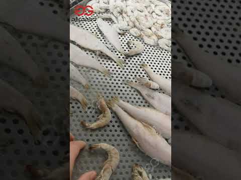 IQF Seafood Freezing Machine|Quick Freezing Process Of Fish And Shrimp