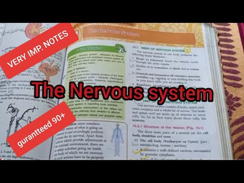 Icse class 10 The Nervous System explained | important notes of biology ch10 nervous system #biology
