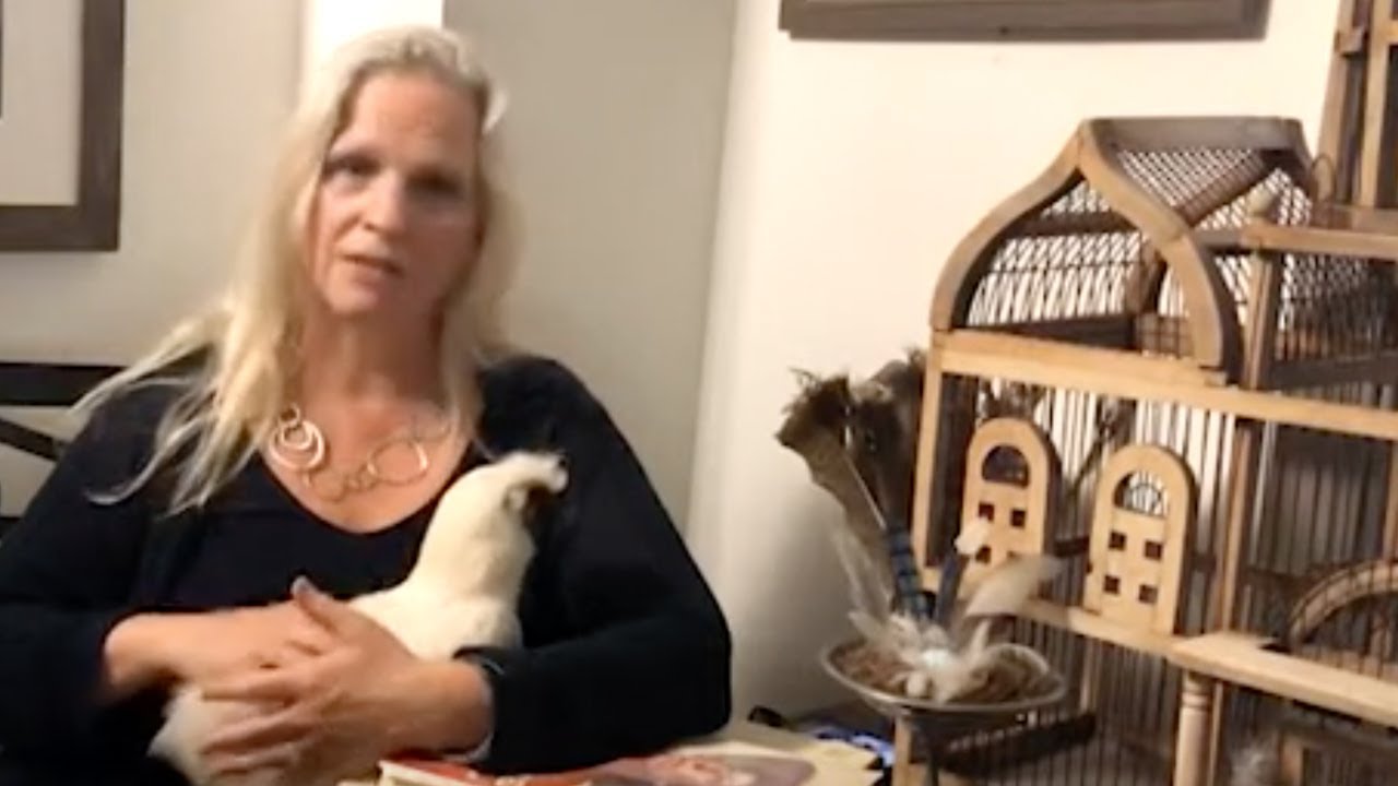 Deborah Chabrian - Empty Nest