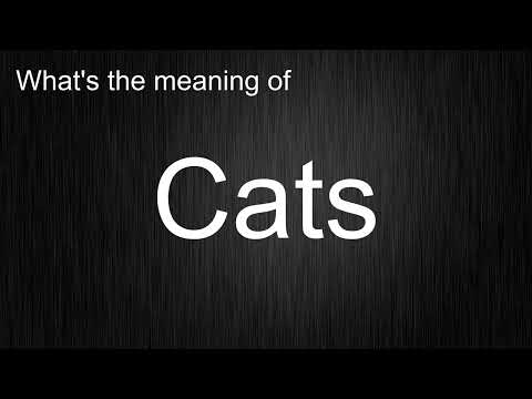 What's the meaning of "Cats", How to pronounce Cats?