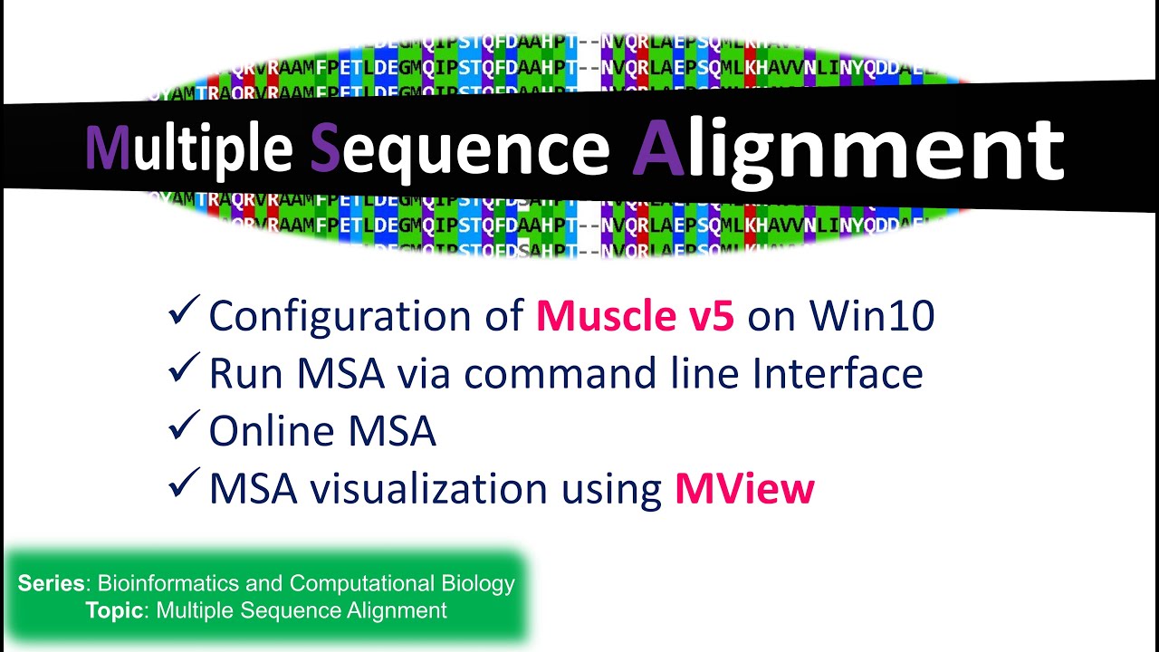 Multiple Sequence Alignment using Muscle | Bioinformatics practicum live demo