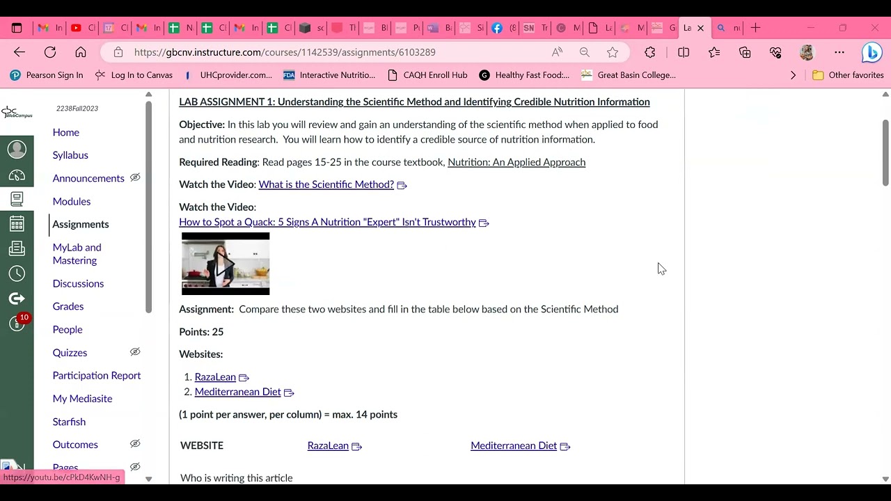 Lab Assignment #1 Overview