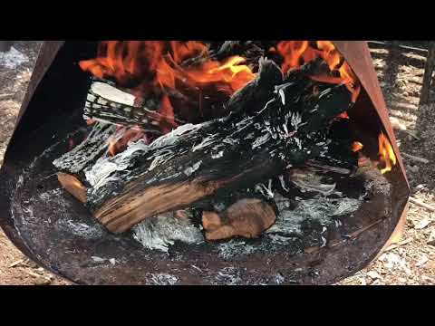 Shaggy Juniper Firewood