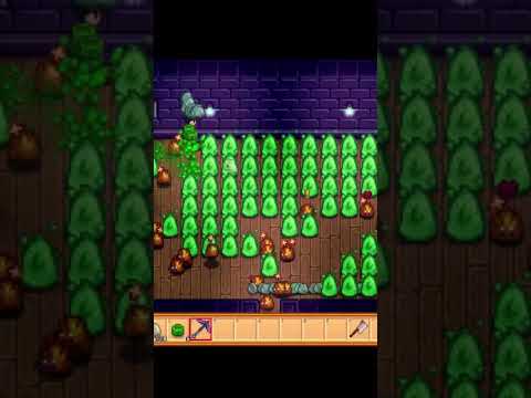 Hundreds of Slime Eggs in Stardew Valley