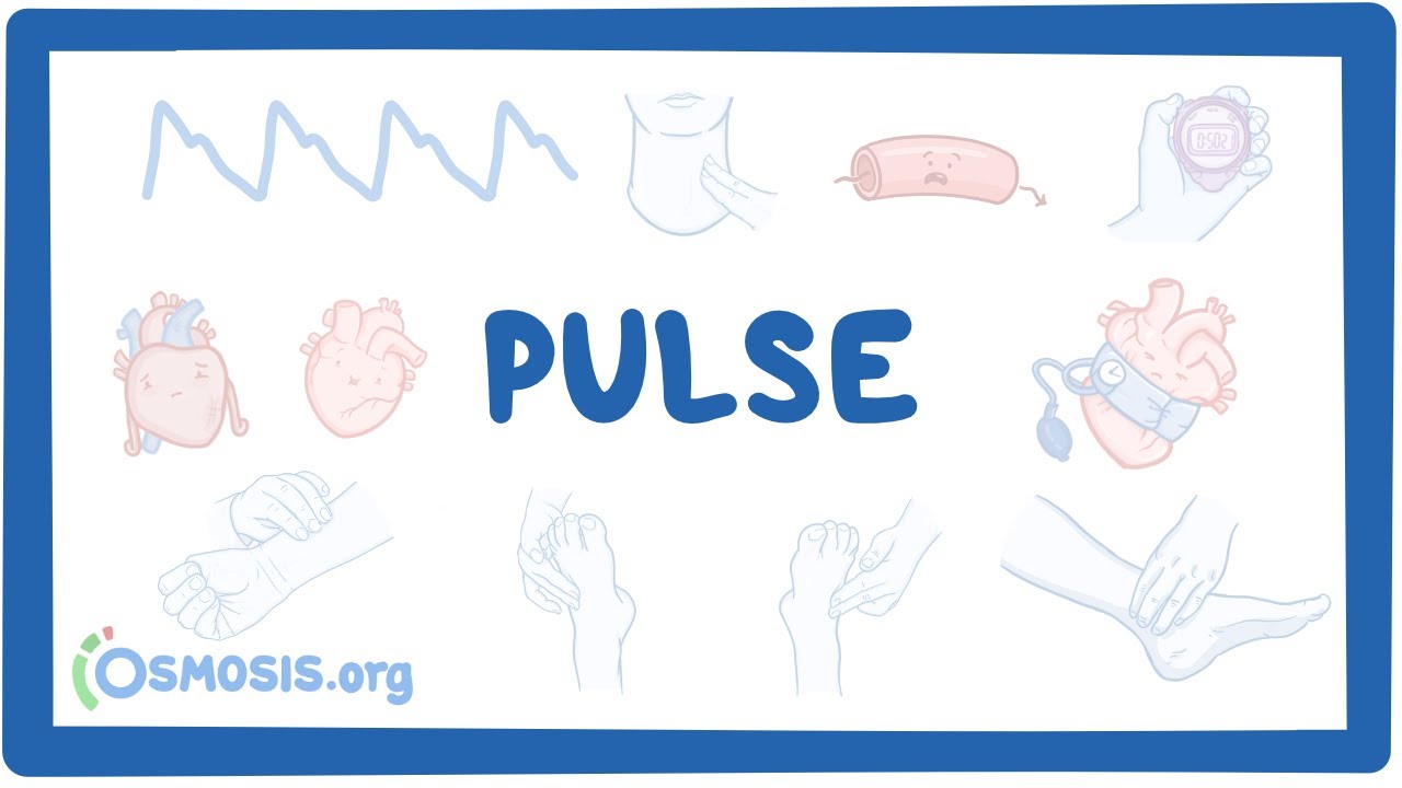 Vital signs - Pulse: Clinical Nursing Care