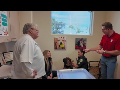 This Central Florida animal hospital is the go-to for injured police K-9s