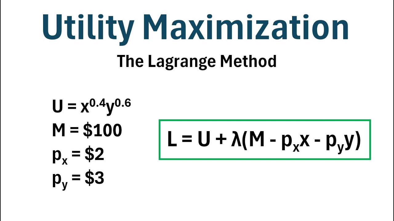 Utility Maximization Using the Lagrange Method