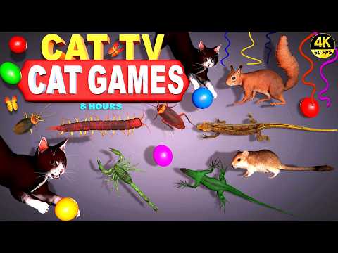 CAT GAMES | CAT TV FOR CATS TO WATCH ULTIMATE MIX VIDEOS FOR FELINE FRIENDS PETS 😻 4K 8 HOURS