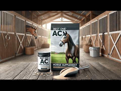 🐎 Kentucky Performance Prod 044097 Elevate Maintenance Supplement | Best One AC Horse Supplement 🥇