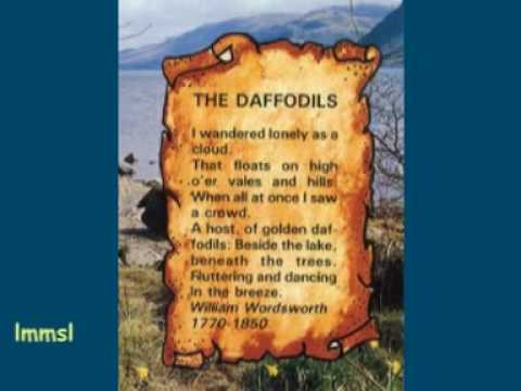 The Splendour Of Daffodils - William Wordsworth The Poet