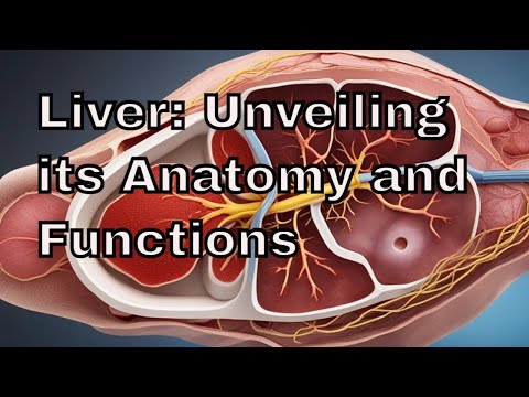 "Exploring the Liver: Unveiling its Anatomy and Functions"