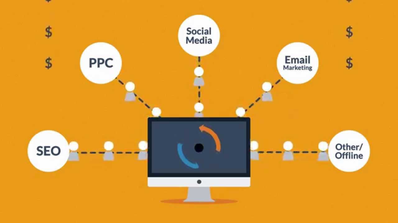 Website Design and Development Process