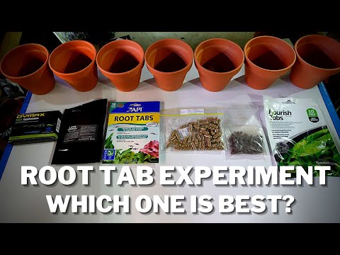 DIY Root Tab - Capsule Suggestion - Plants, Algae, and Fertilizers ...