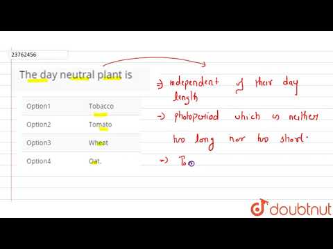 The day neutral plant is