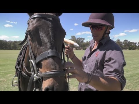 Getting back in the saddle after a workplace injury | Angus' story