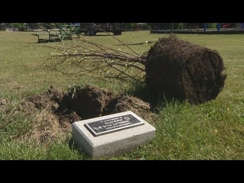 Families hurt after their sons' memorial is vandalized