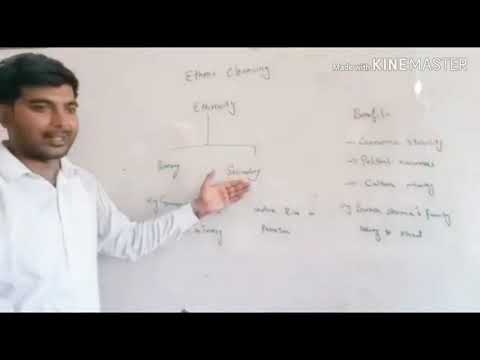 Ethnicity in urdu and its benefits by Naveed Asgher